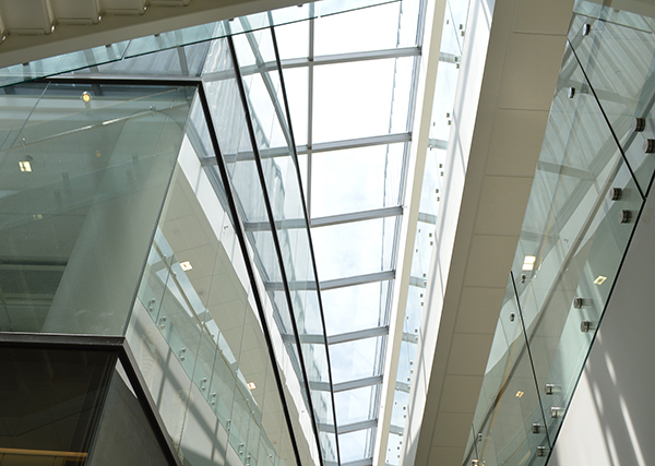 Homecoming highlight: STEM student research - Grove City College